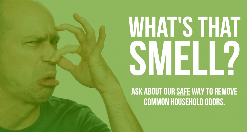 What’s That Smell | DriGanic Carpet Cleaning Springfield Pennsylvania